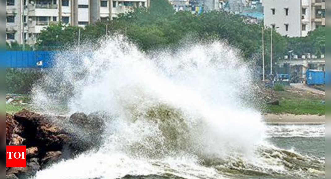 Cyclone Asani claimed 3 lives, damaged crops across Andhra Pradesh ...