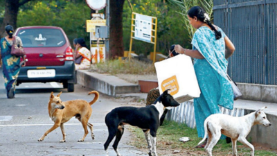 Hounded, Mauled: 300 & Counting, Blame It On Heat | Hyderabad News ...
