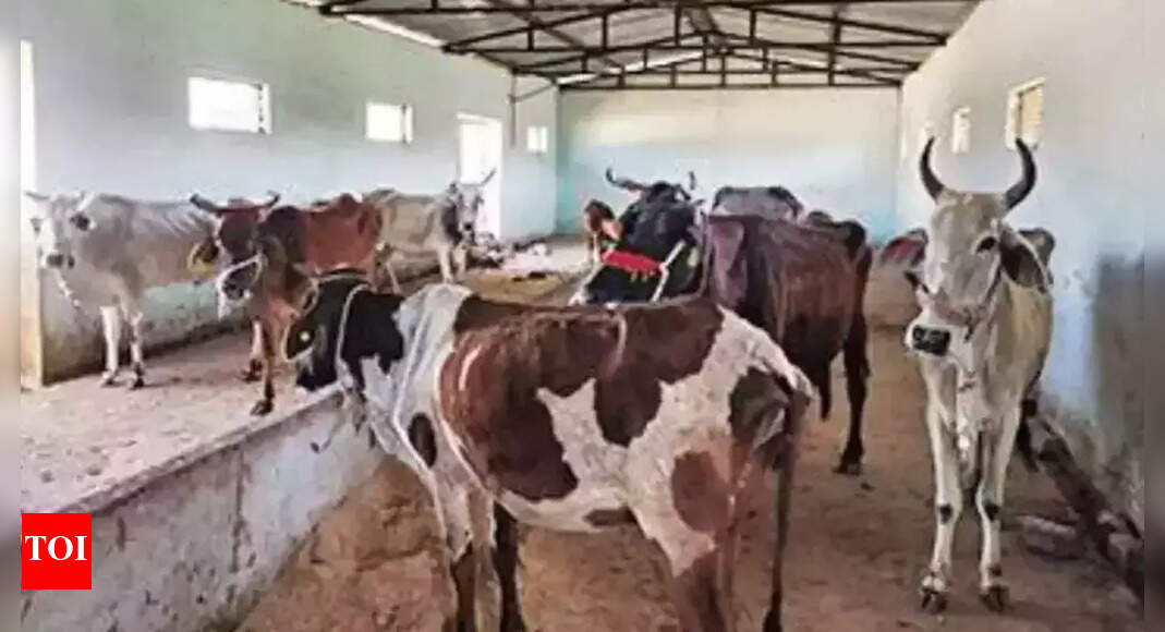 Exotic, crossbred constitute 27% of cattle population; Gir, Lakhimi ...