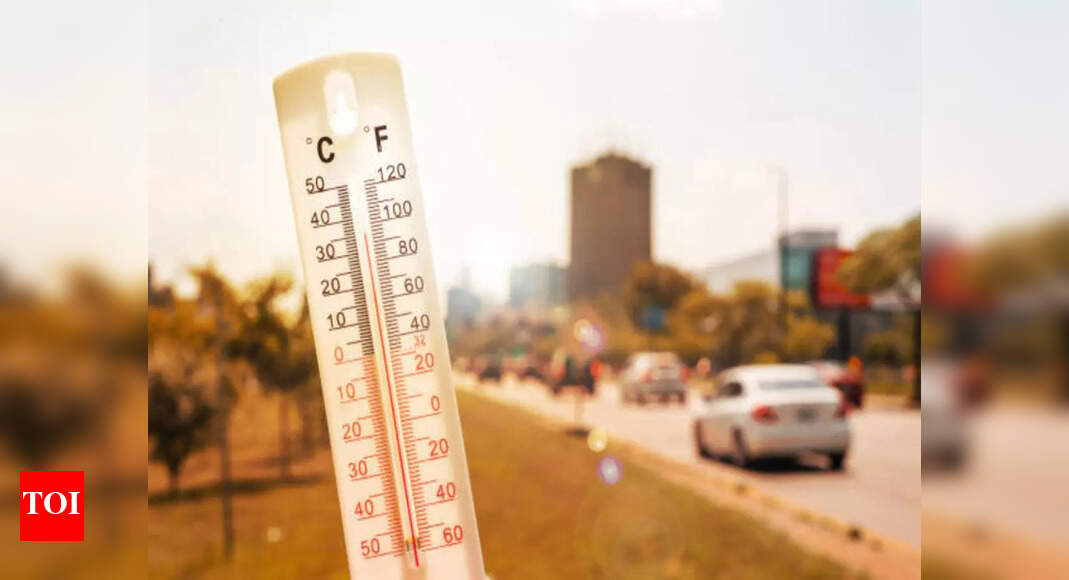A guide for mitigating the risks of the ongoing heatwave - Times of India
