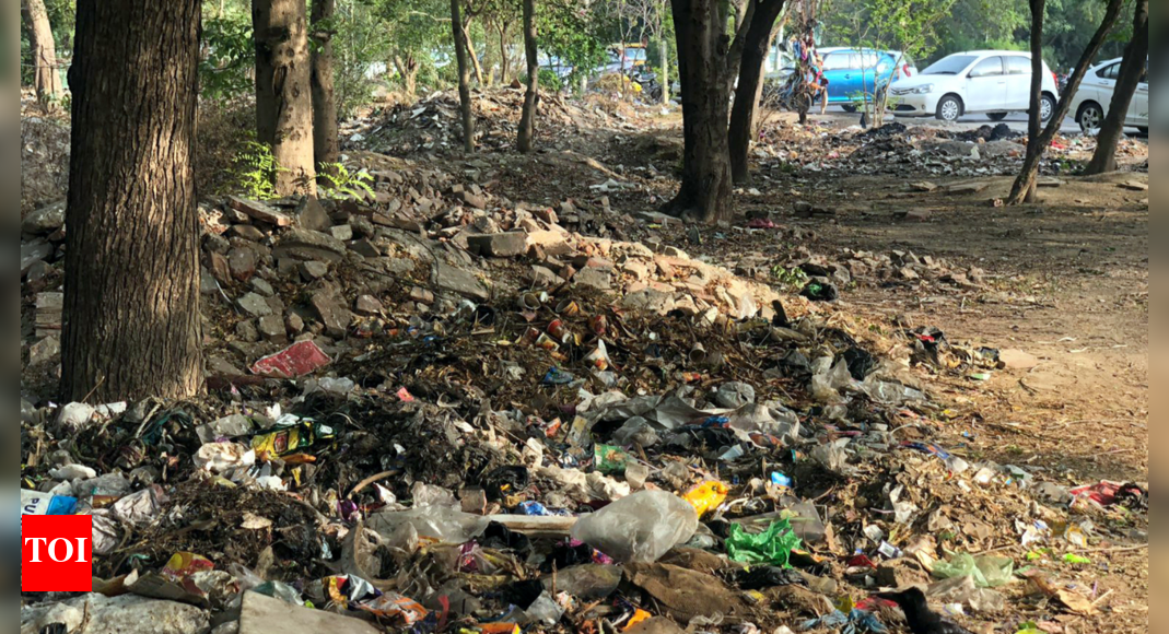 Allahabad HC seeks comprehensive plan for development & maintenance of ...