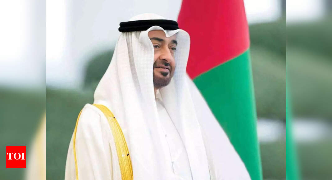 New UAE president meets Macron as world leaders pay respects - Times of ...