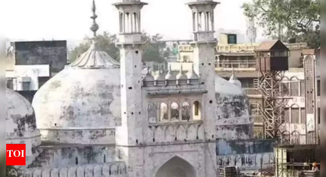 Varanasi: Gyanvapi mosque survey to continue on Monday; domes, area of ...