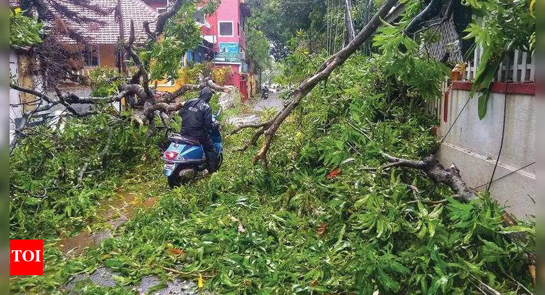 Taking lessons from 2021’s devastation, Goa revamps disaster management ...