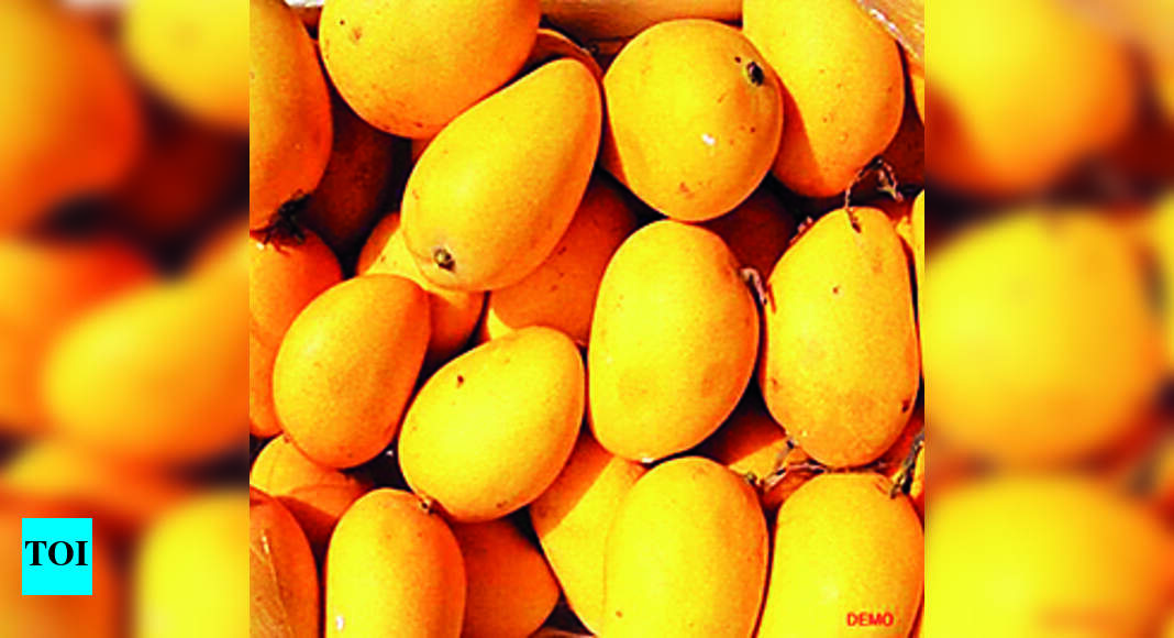 Jardalu: Bhagalpur’s Jardalu Mangoesto Be Sent To Prez, Pm, Others ...