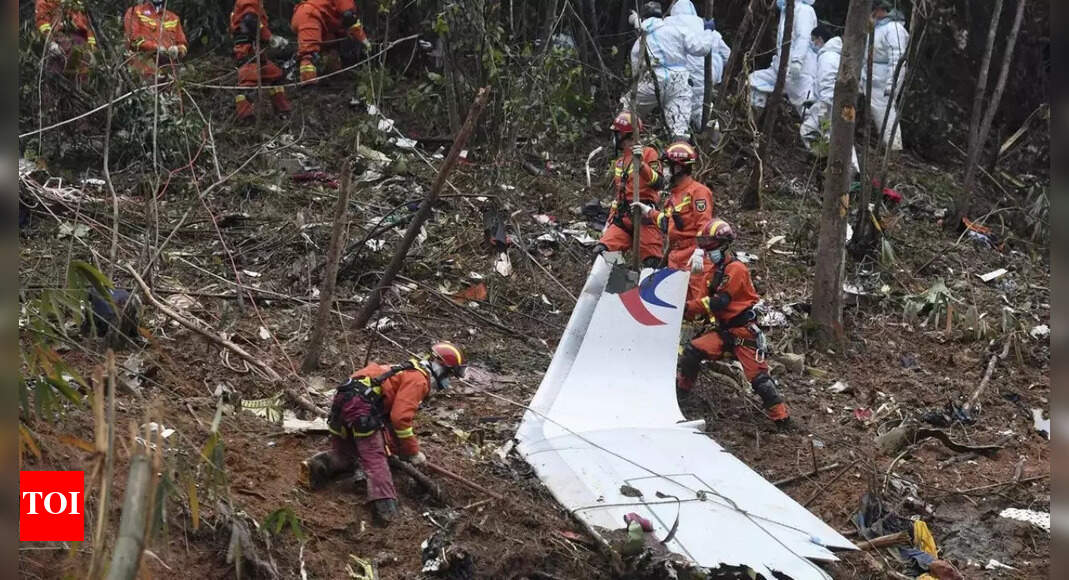 China Plane Crash: China plane crash was intentional, suggests black ...