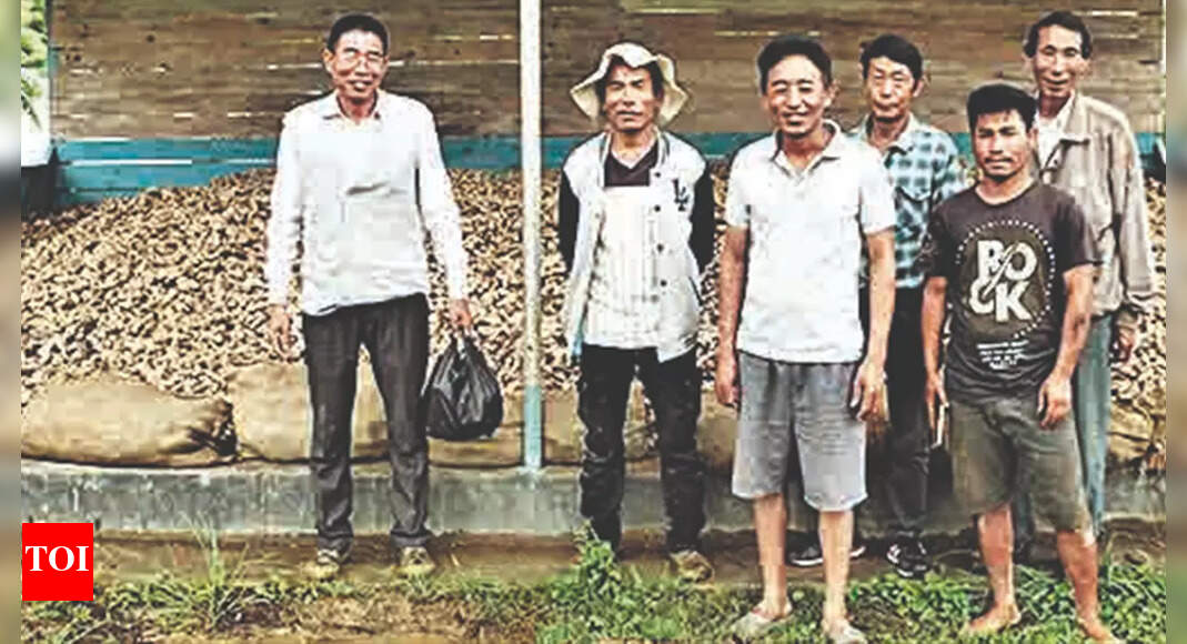 Manipur: Manipur Village Shuns Poppy, Takes Up Horticulture Farming ...