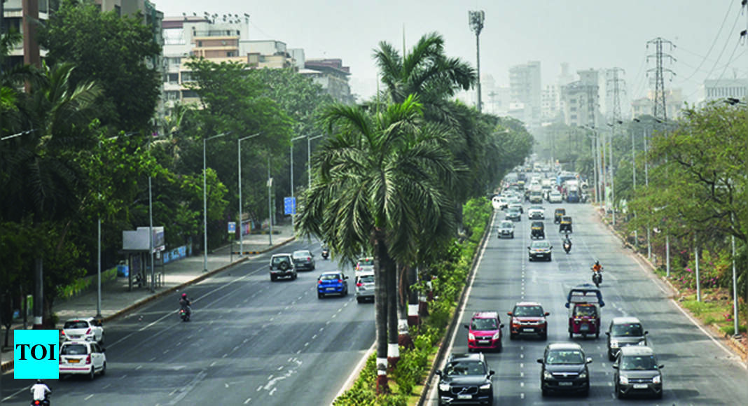 Vashi: Greens Oppose Axing 400 Trees For New Vashi Flyover | Navi ...