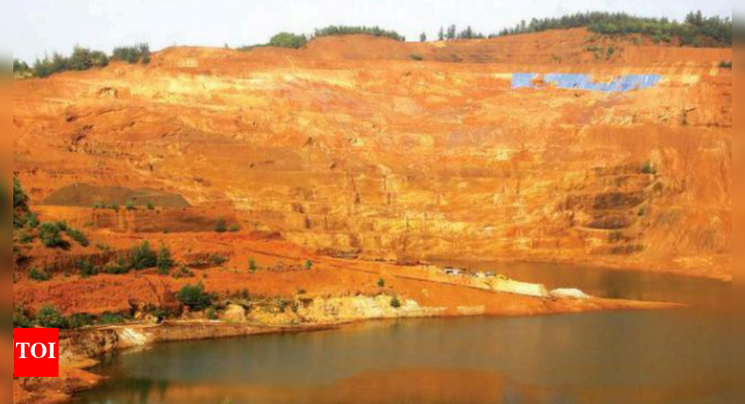 Ensure pumping facility at mining pits, says North Goa collector | Goa ...