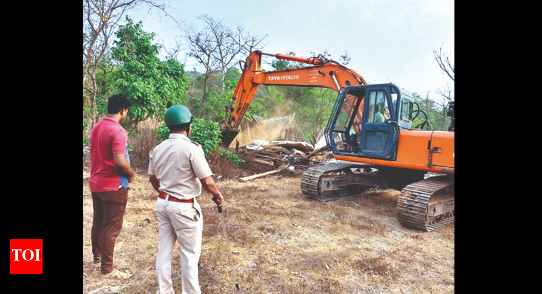 500+ Stand Guard As 25.5 Acres Of Sgnp Land Reclaimed | Mumbai News ...