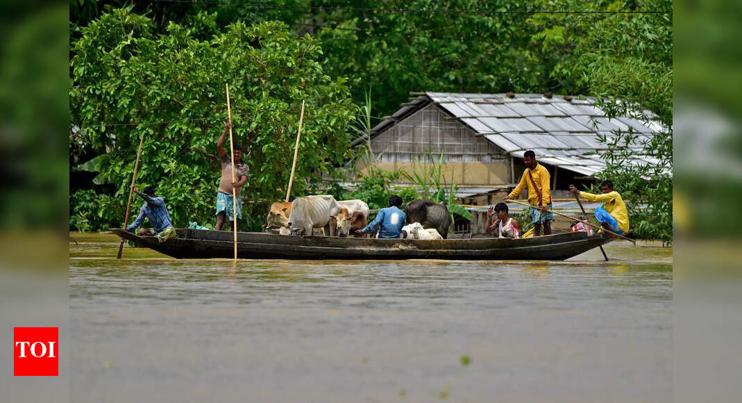 Assam: 14 killed as floods, landslides wreak havoc in Assam: Key ...