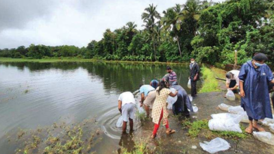 Curtorim is Goa’s second biodiversity heritage site | Goa News - Times ...