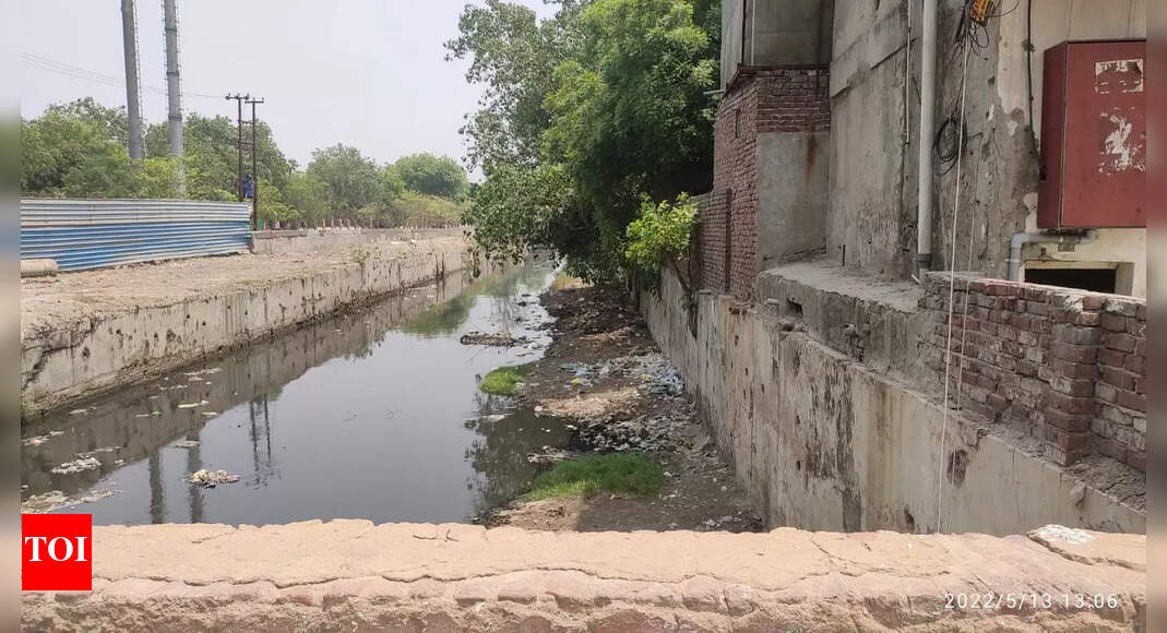 My Neighbourhood matters – The irrigation drain at Sector 11 is a bane ...