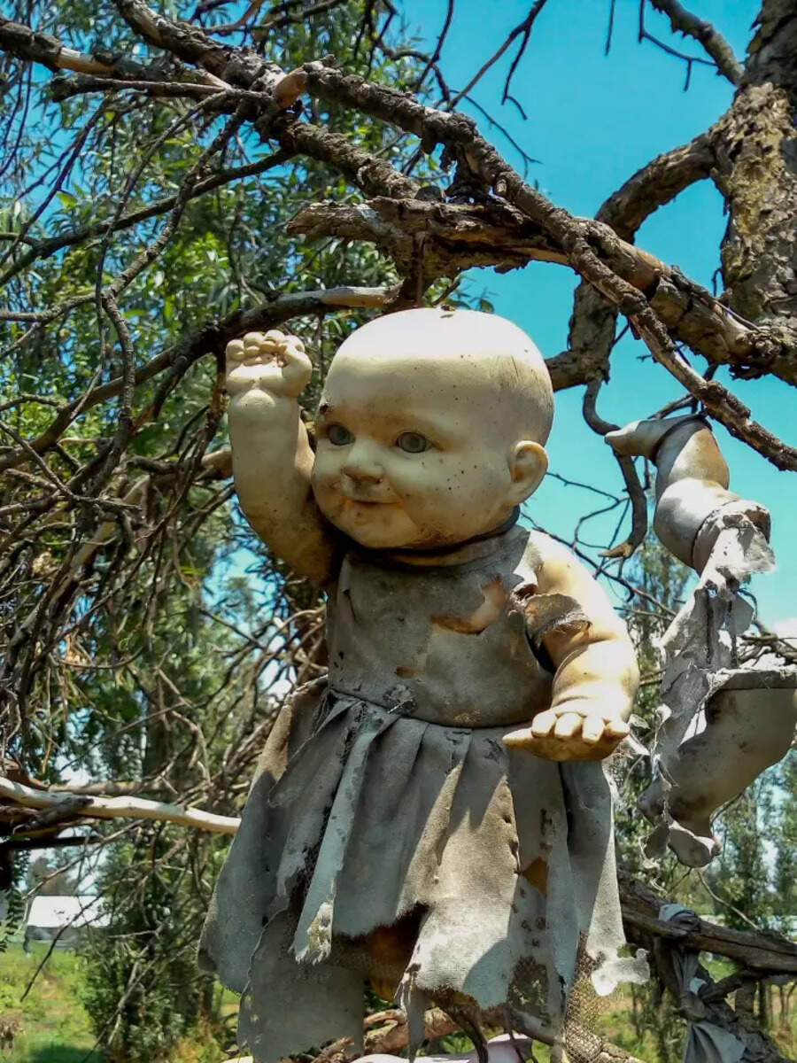 9 of the world’s scariest attractions! | Times of India