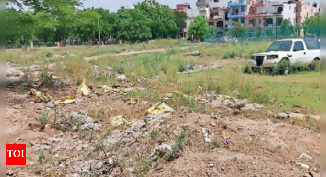 Mcg: Gurugram: Garbage being dumped in vacant plots illegally, ‘no ...