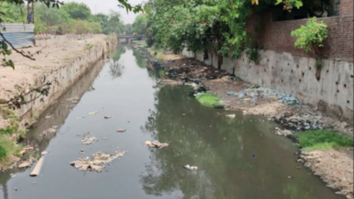 Living by open drain making ‘life hell’, but Noida has no solution yet ...