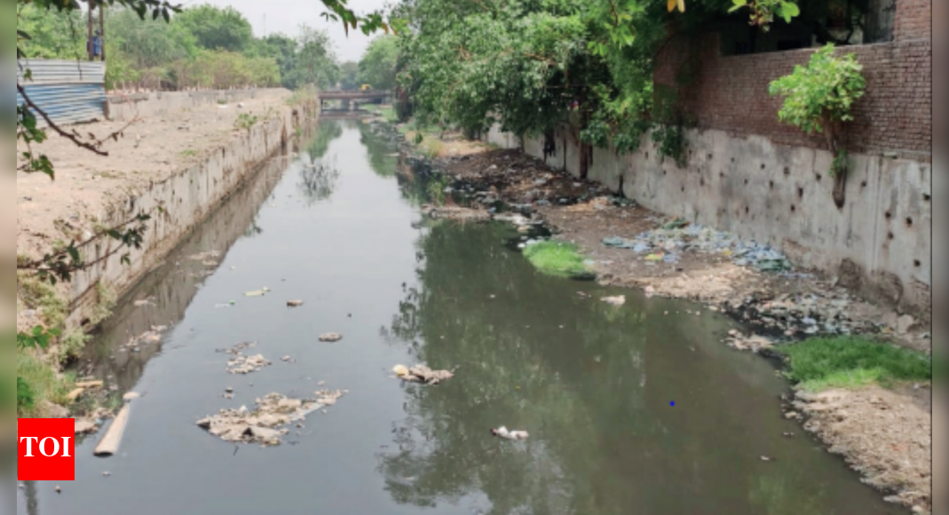 Living by open drain making ‘life hell’, but Noida has no solution yet ...