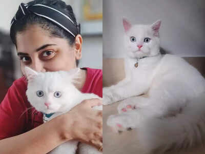 Manjima celebrates her pet Loki’s birthday | Tamil Movie News - Times ...