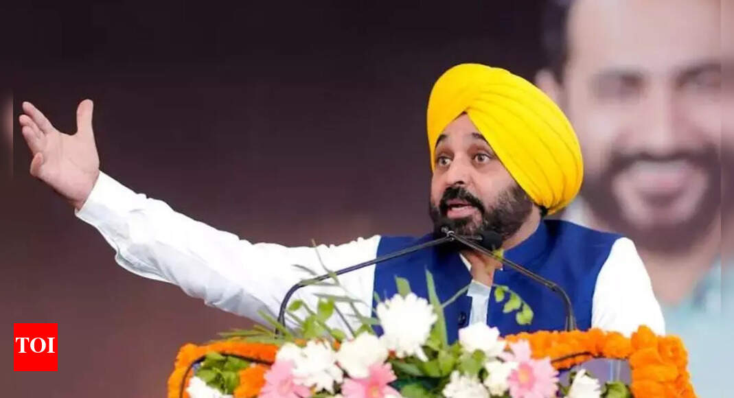 Disseminate message of peace and brotherhood instead of glorifying ...