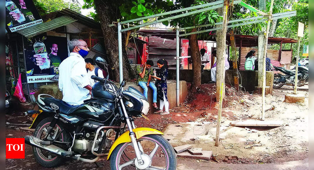 Pilar: Goa: To lay a drain, a tree was cut in Pilar and everyone has a ...