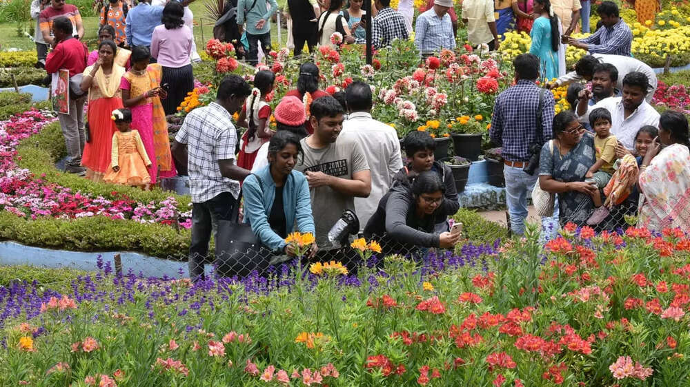 Photos: 59th flower show commences in Tamil Nadu's Kodaikanal | The ...