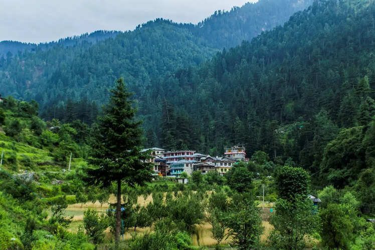 Peaceful hill stations near Noida that are less crowded | Times of ...