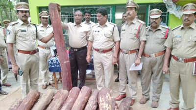 Red sanders task force arrests five smugglers, seizes logs worth Rs 22 ...
