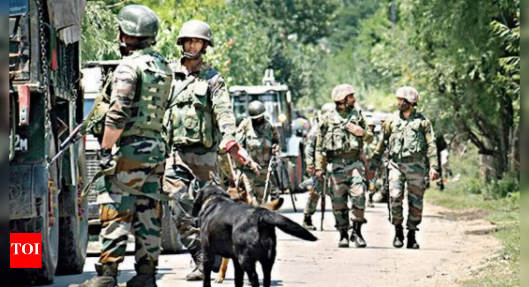 Policeman, Jaish trio from Pakistan killed in J&K encounter | India News - Times of India
