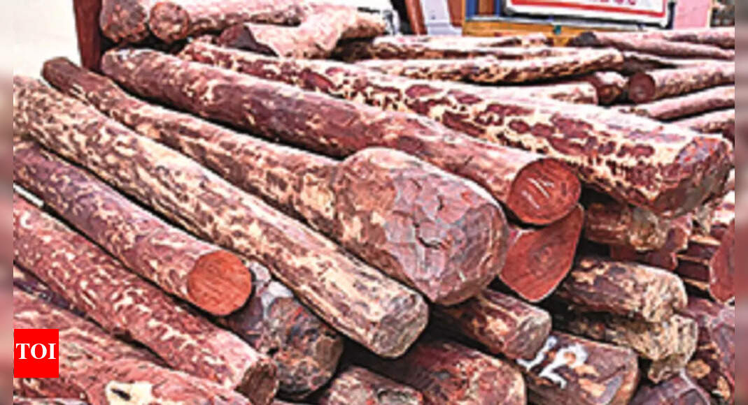 Andhra Pradesh: Red sanders logs worth Rs 22 lakh seized near ...