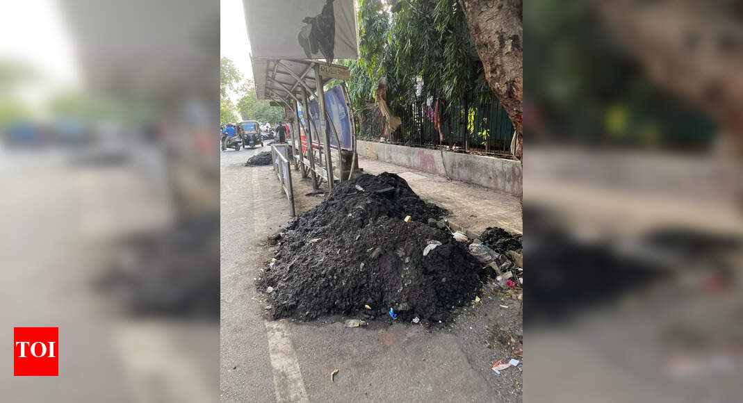 Heaps Of Garbage - Times of India