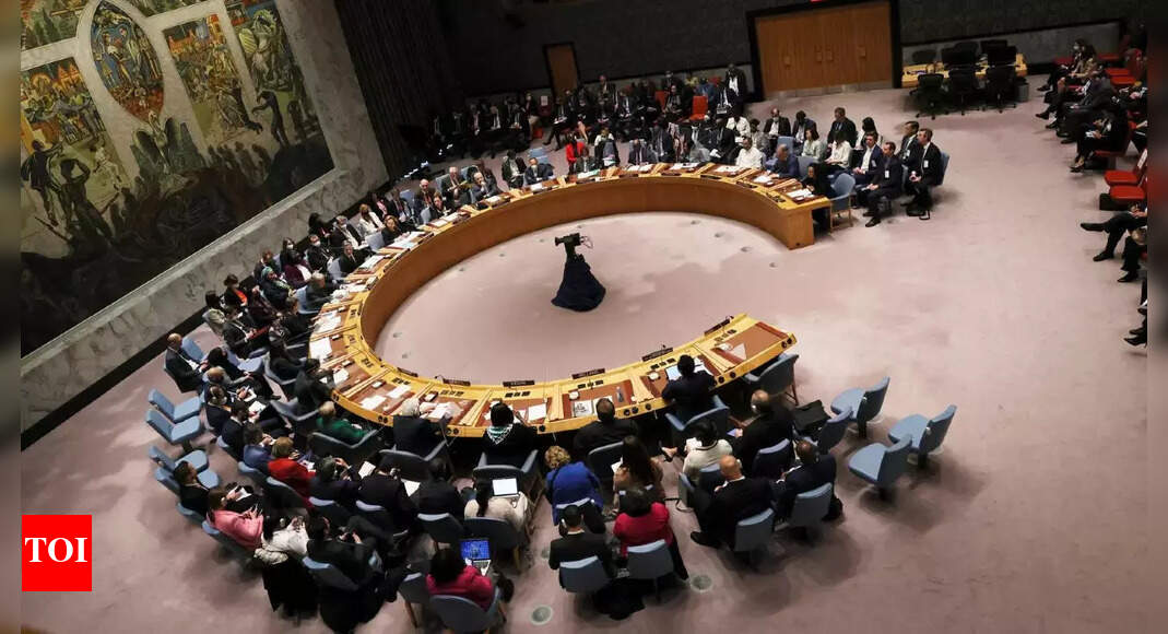 Syria: UN Syria Commission of Inquiry requests Security Council to ...