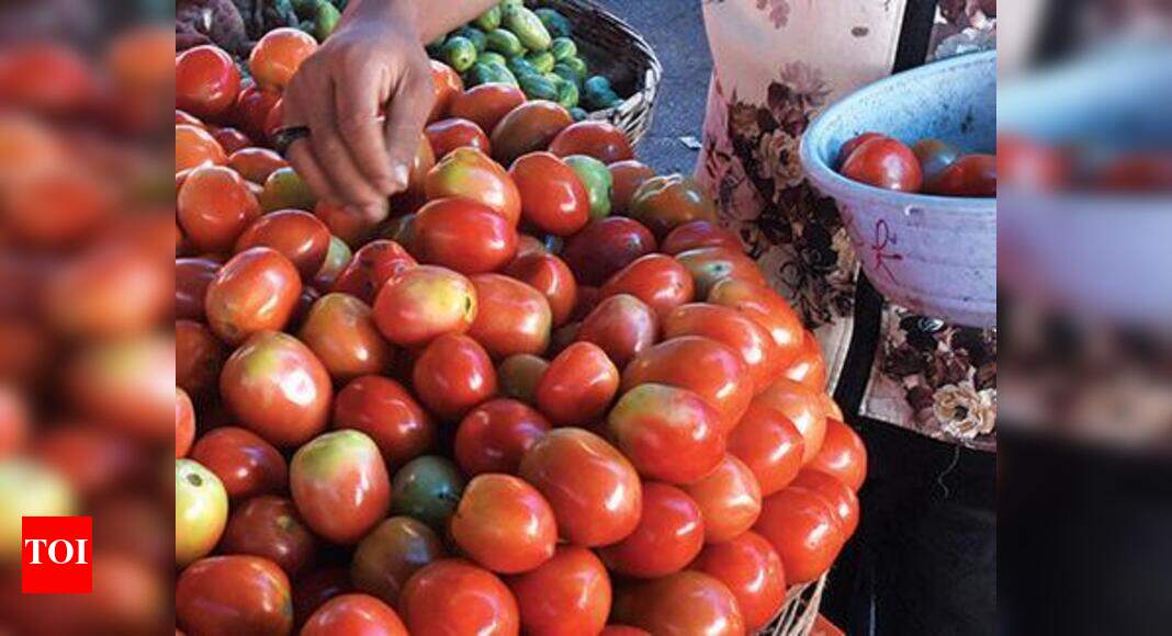 Goa: Rise in temperature sees tomato rates decrease to Rs 70 per kg ...