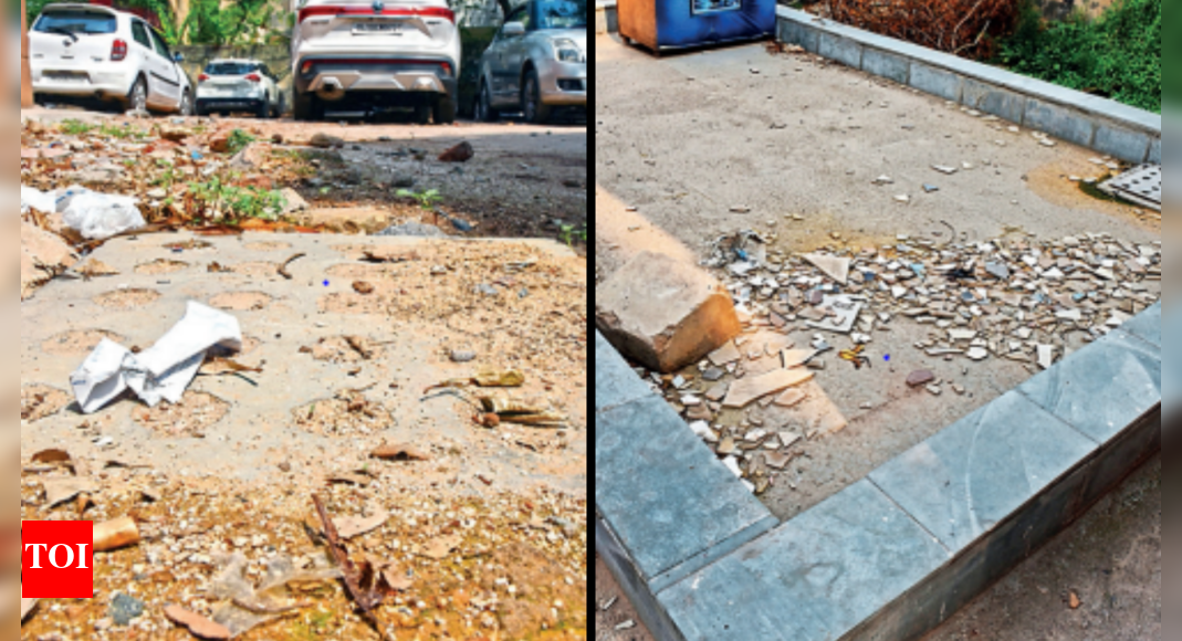 In the pits: Delhi fails to harvest rainwater | Delhi News - Times of India