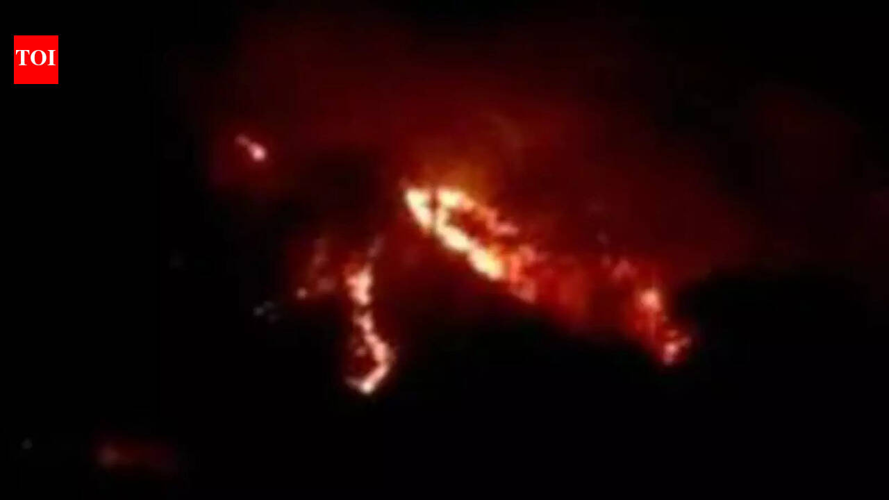 J&K: Massive fire breaks out along LoC in Mendhar sector of Poonch ...