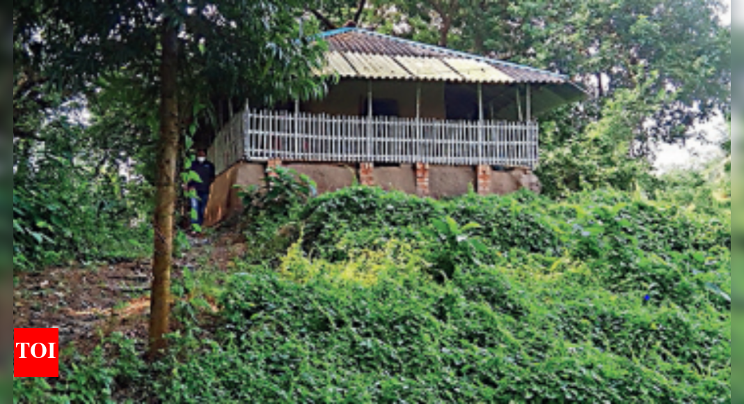 Archaeological site 20km from Kolkata yields 2,000-year-old artefacts ...