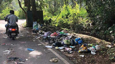 Goa: Velsao villagers call for action against roadside dumping of waste ...