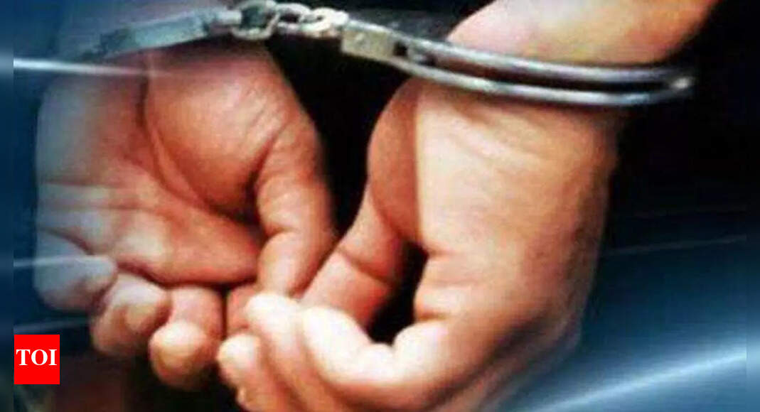 Delhi: Robber, inspired by movies, arrested | Delhi News - Times of India