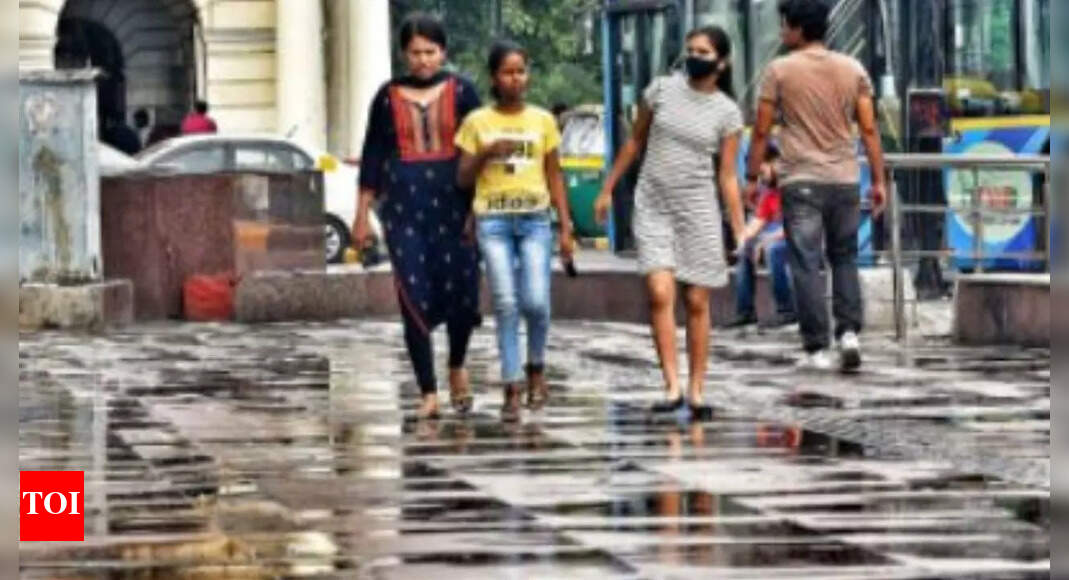 Parts of Delhi receive light rain | Delhi News - Times of India