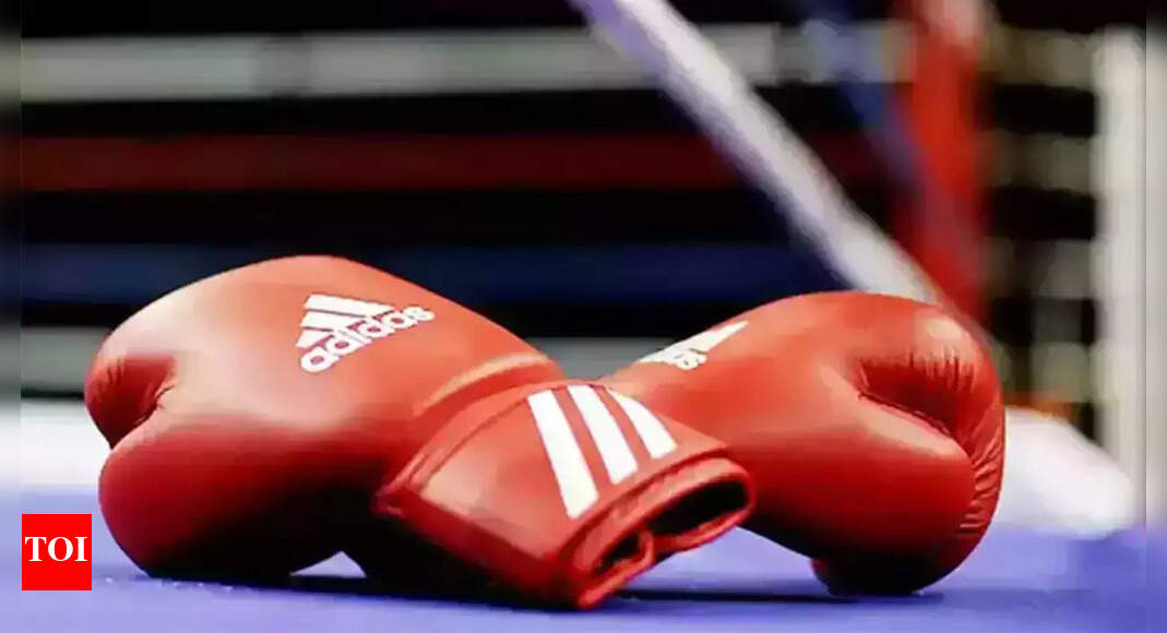 Indian boxer Sabari Jaishankar wins WBC Australasia Pro title | Boxing ...