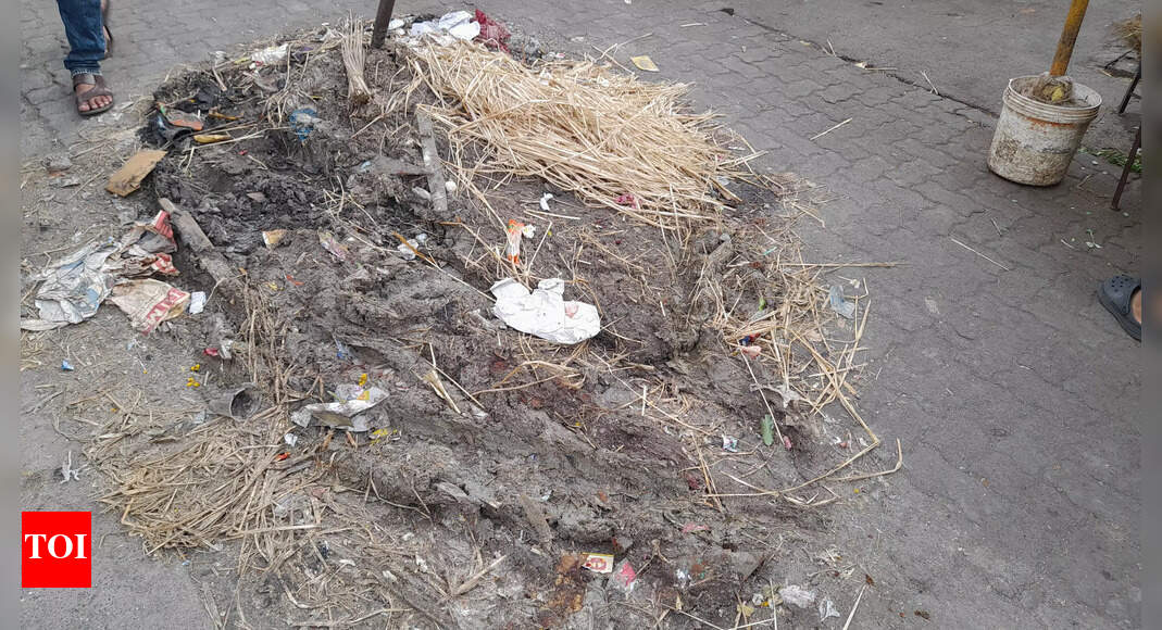 Stinky Heaps of Mud - Times of India