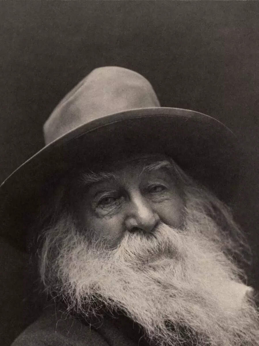8 things Walt Whitman taught us about trees and life | Times of India