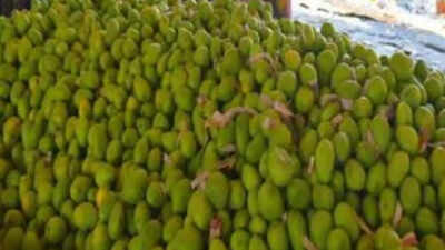 Uttar Pradesh: Heatwave ruins 80% crop in Malihabad mango belt ...