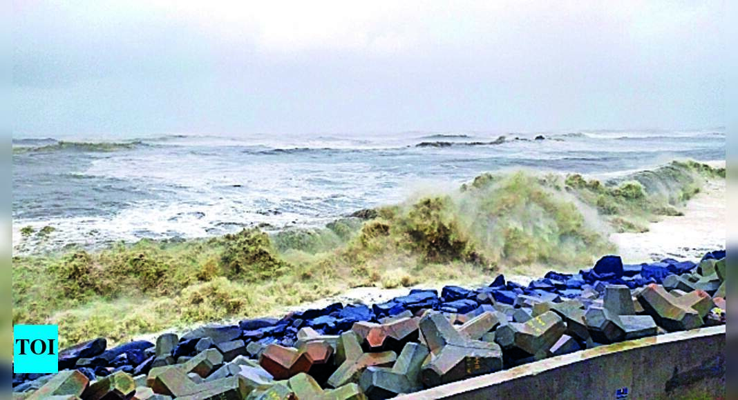 Mangaluru: Forest Dept Moots Vegetative Barriers To Control Sea Erosion ...