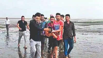 In 24 Hours, 12 People Die Of Drowning In State | Rajkot News - Times ...