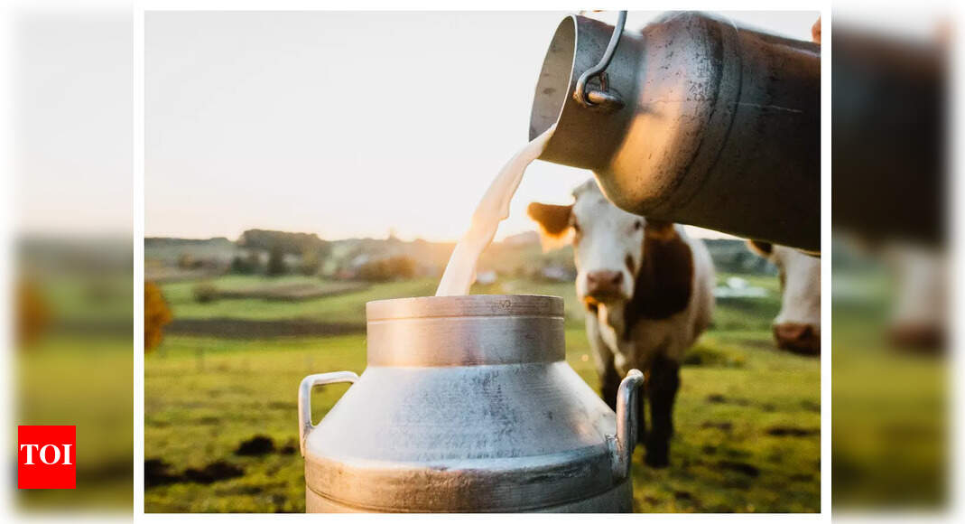 World Milk Day 2022: Date, significance, theme, and easy recipes ...