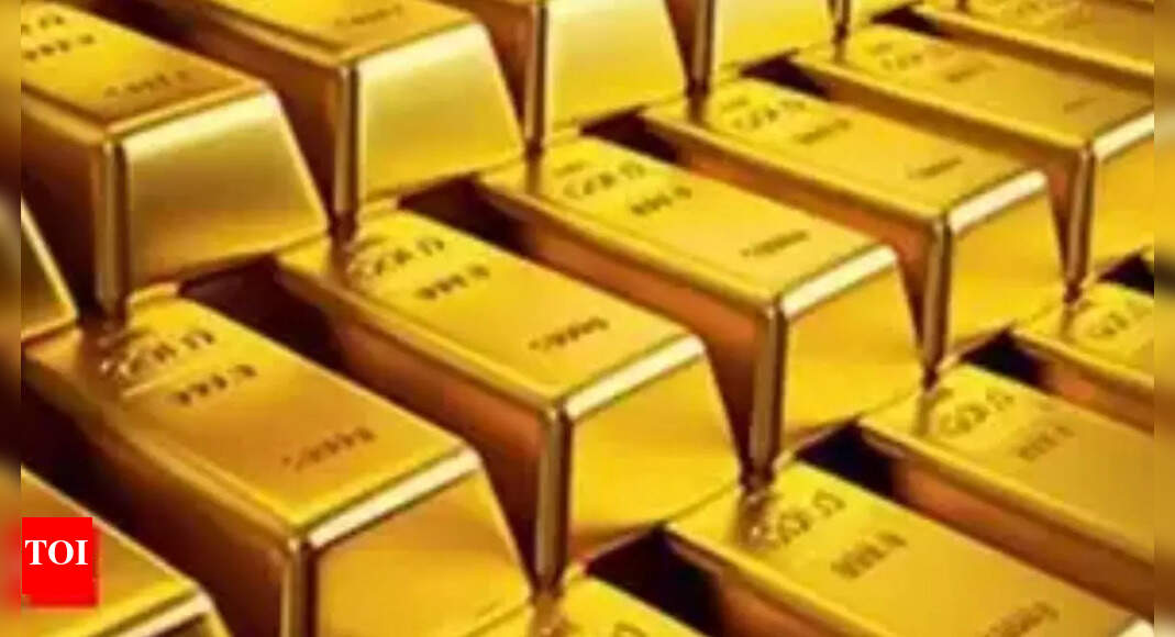 Jamui: Gsi Denies It Estimated Goldreserves Of 222mt In Jamui | Patna ...