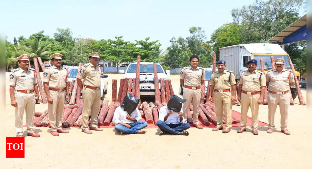 Andhra Pradesh: Chittoor police seize Rs 3 crore worth red sanders and ...