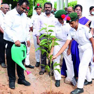Rare: Rare Trees Planted At Madurai Collectorate | Madurai News - Times ...