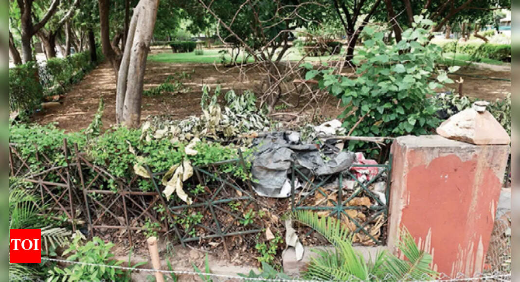 Mcg: Mcg To Reduce Upkeep Funds For Poorly Maintained Parks In City ...