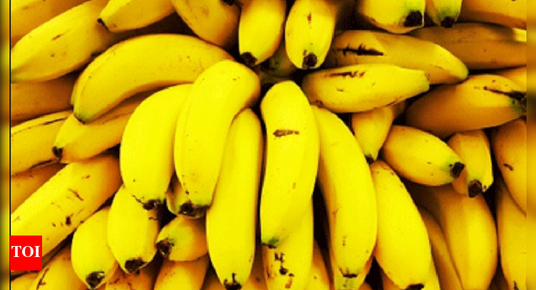 Bihar: GI tag likely for 'Bawan Buti' sari, Gaya's stone craft ...